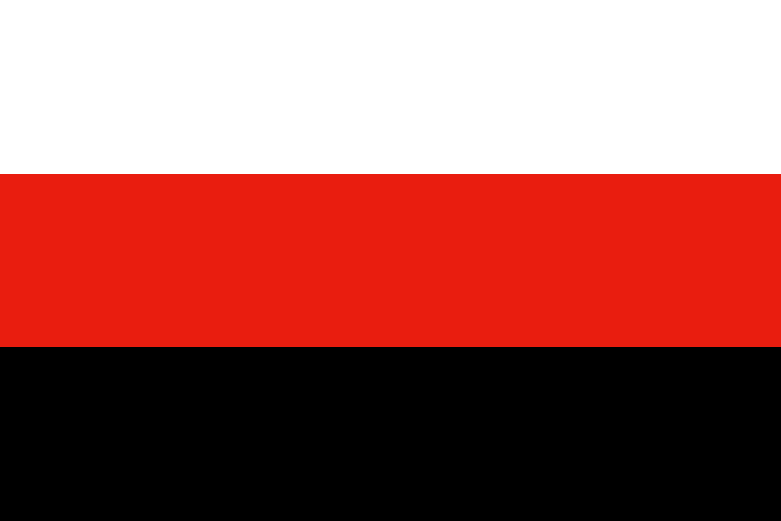 1st Flag of The Napoleonic Kingdom of Naples - Pax Historia