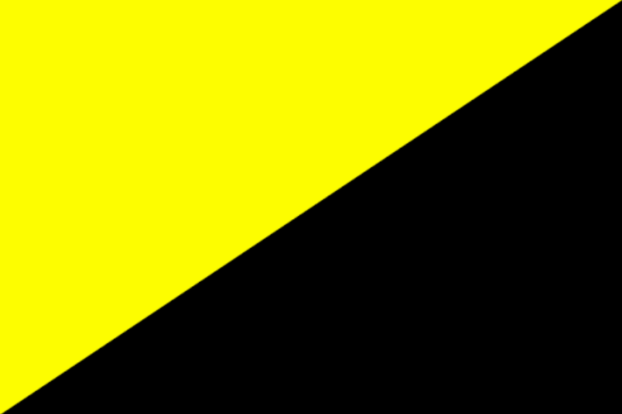 Anarcho Capitalist Flag - Pax Historia