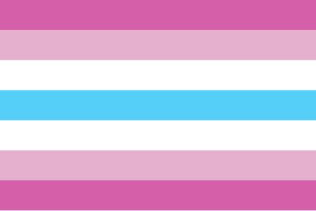 Femboy Pride Flag Pax Historia 5867