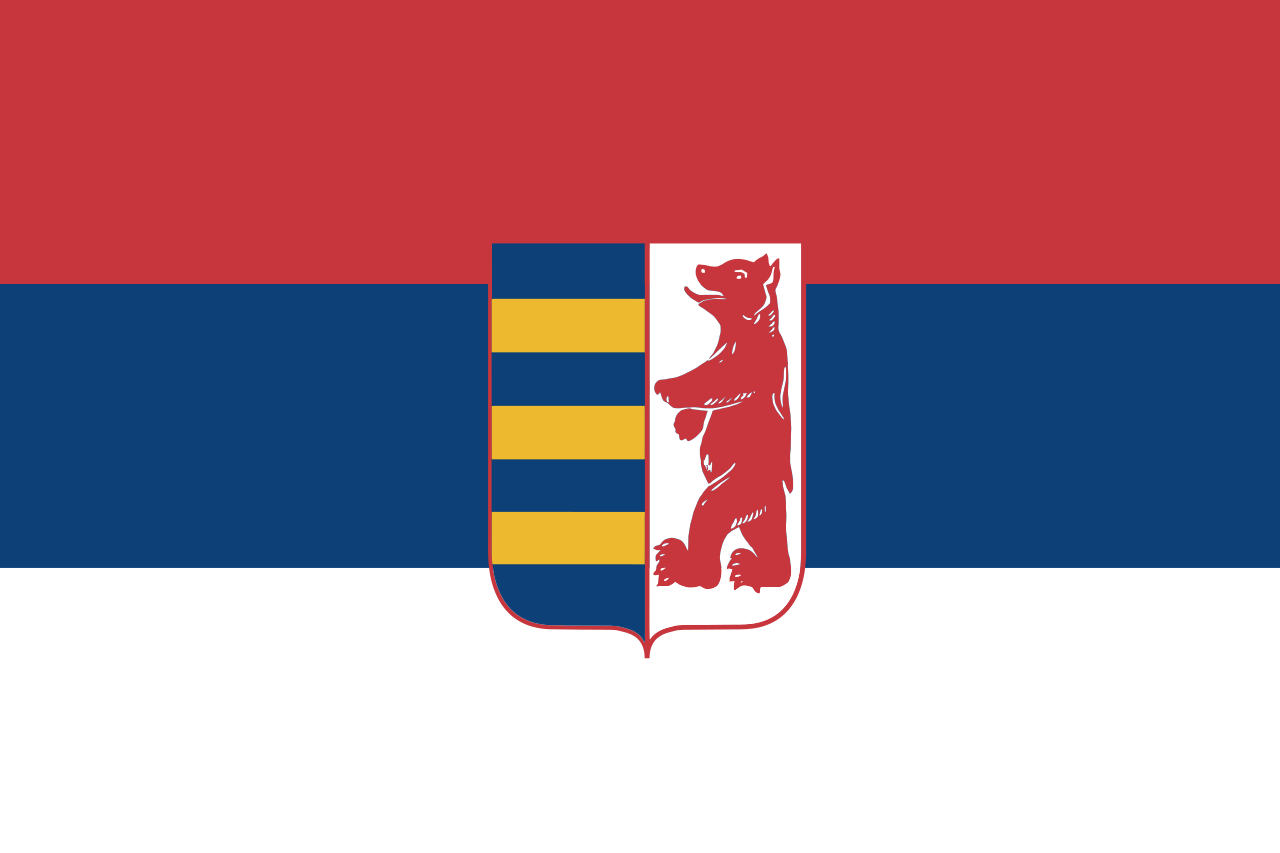 Flag of Pannonian Rusyns in Serbia - Pax Historia