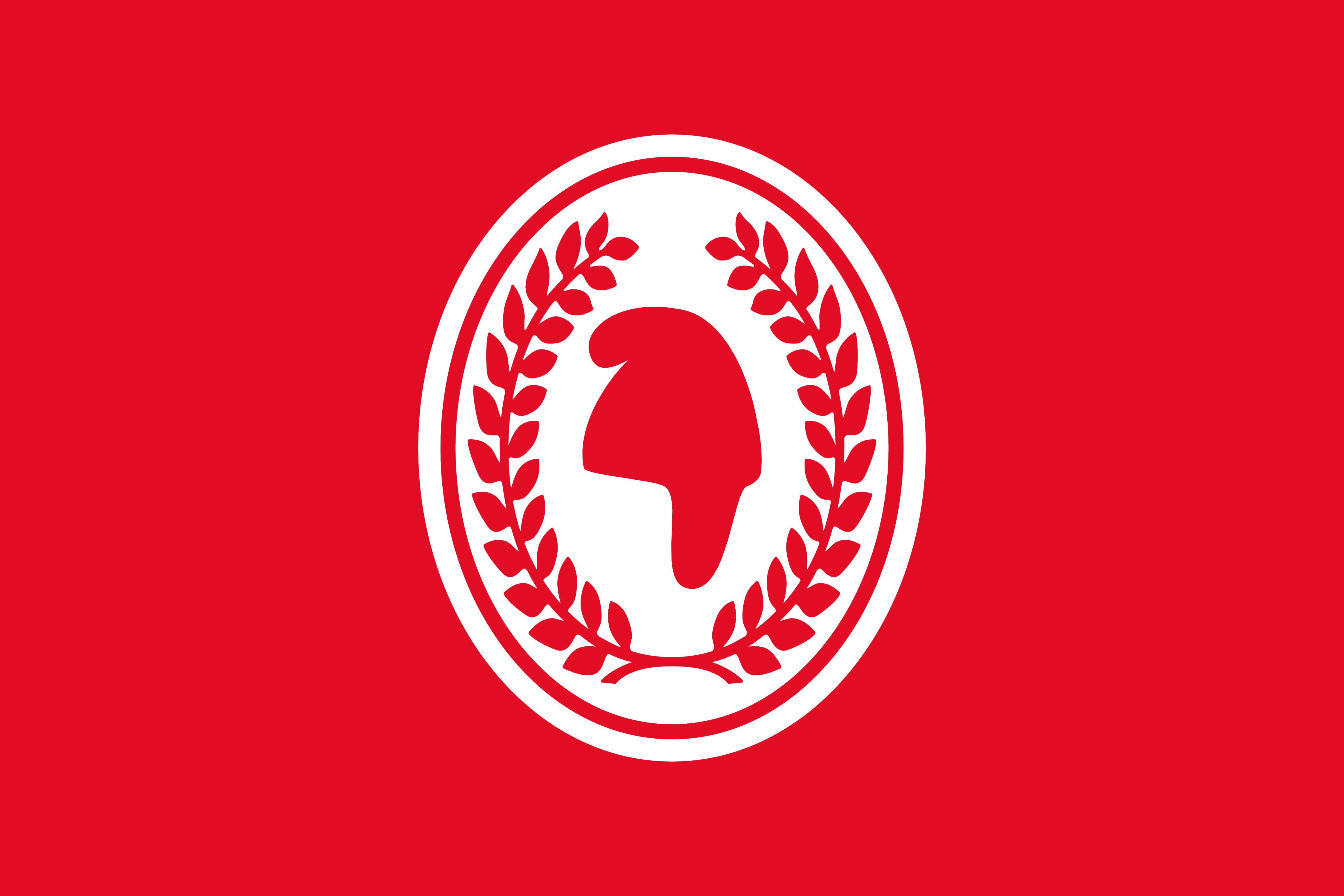 Jacobin France - Pax Historia