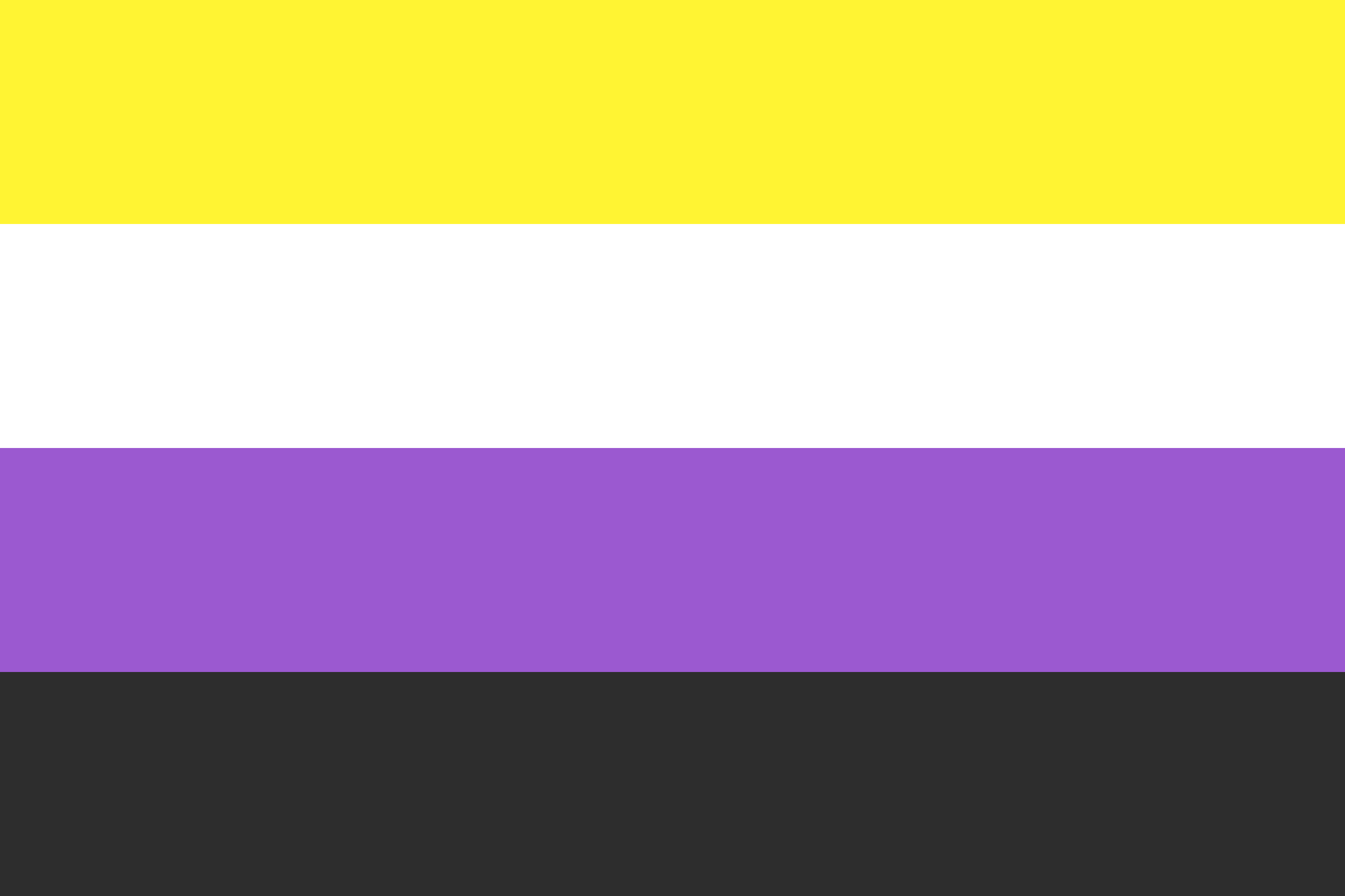 Non-binary Flag - Pax Historia