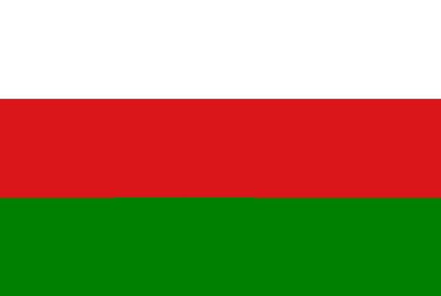 Republic of Oman Flag(Alternate History) - Pax Historia