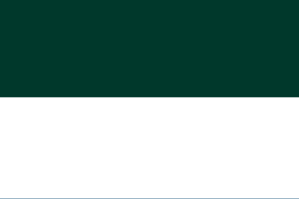 Republic of Siberia - Pax Historia