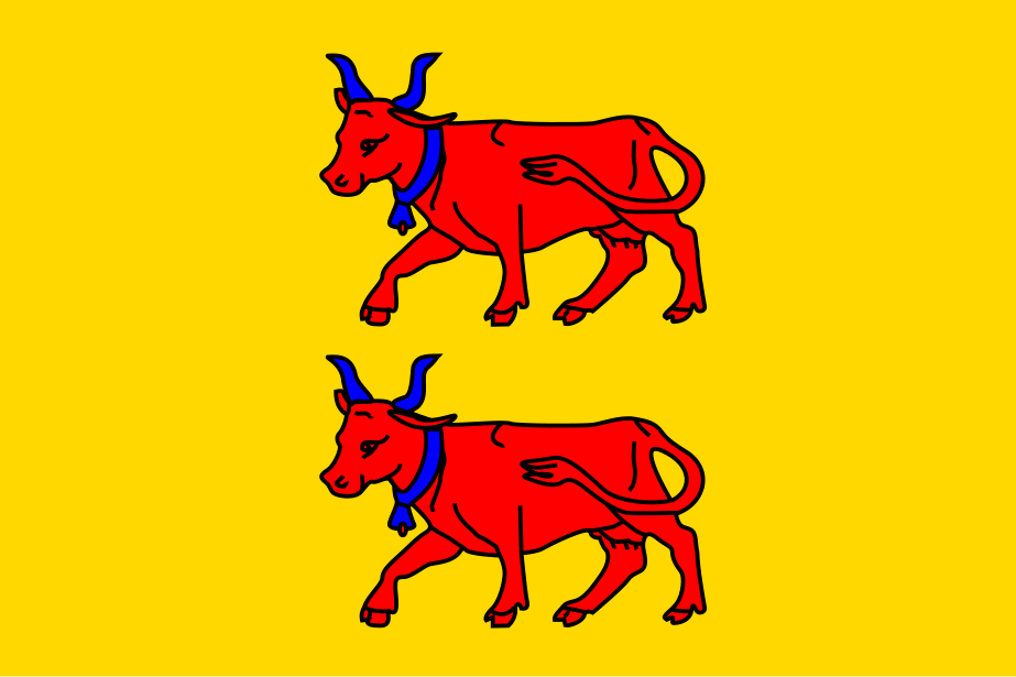 Viscounty of Béarn 1355 - Pax Historia